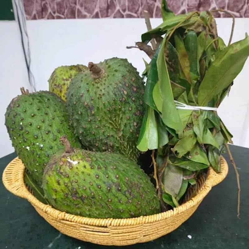 Soursop Fruit and Leaves - Afrifarm